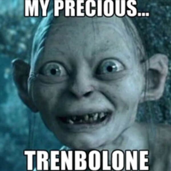 Should You Take Tren? The Pros and Cons of Trenbolone as Described by ...