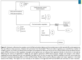 MENT Anabolic Steroids: Understanding its Features and Effects - MESO-Rx